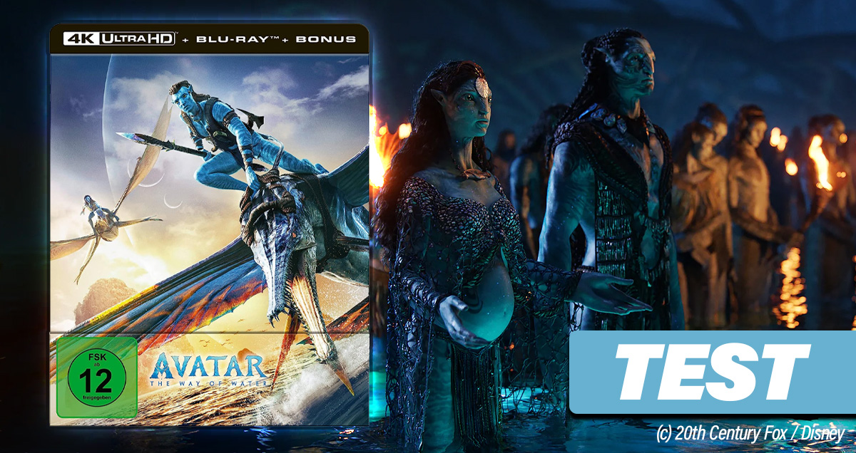 Avatar – The Way of Water auf 4K Blu-ray im Test: Um Welten besser - 4K ...